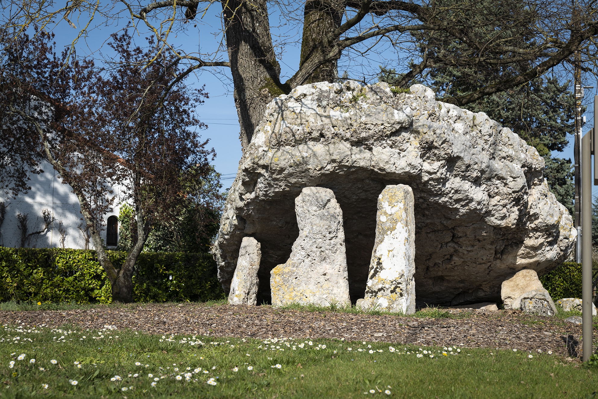 Megalith between dolmen and menhir